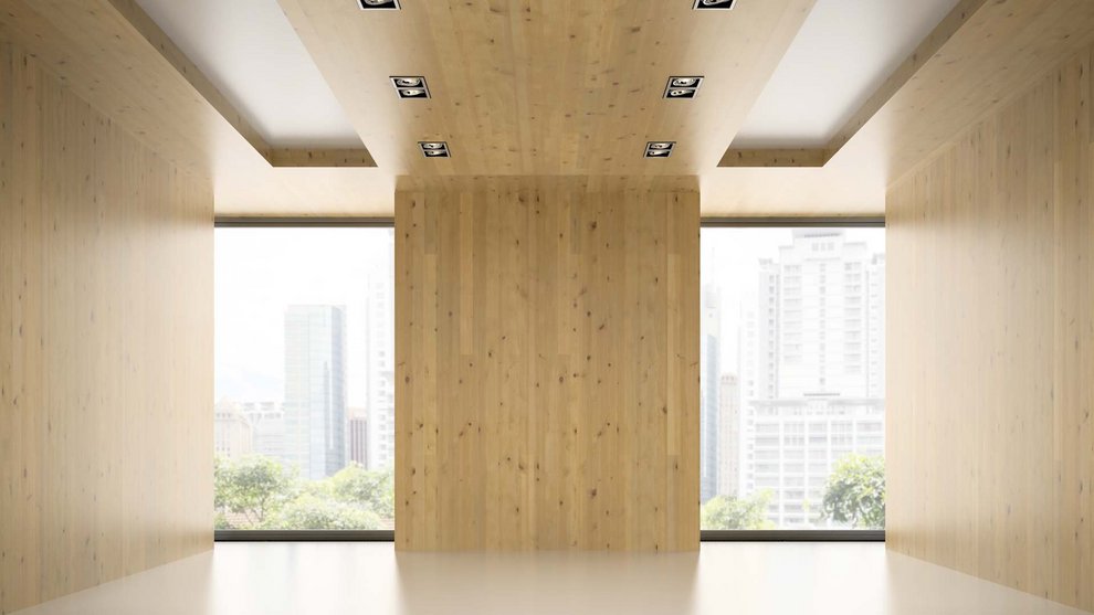 Holzpaneelen für Decke und Wandverkleidung in der Schweiz